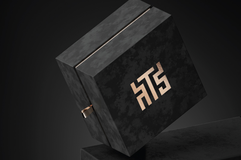 Ting Sheng - Logo Design • dcore