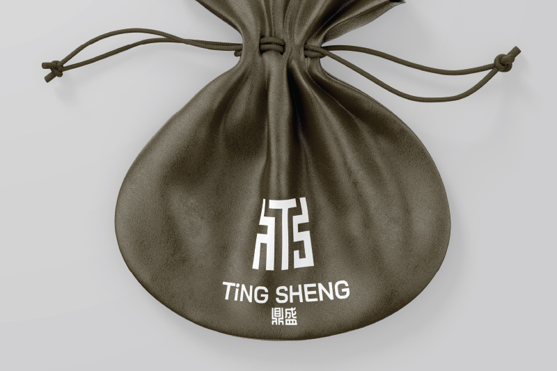 Ting Sheng - Logo Design • dcore