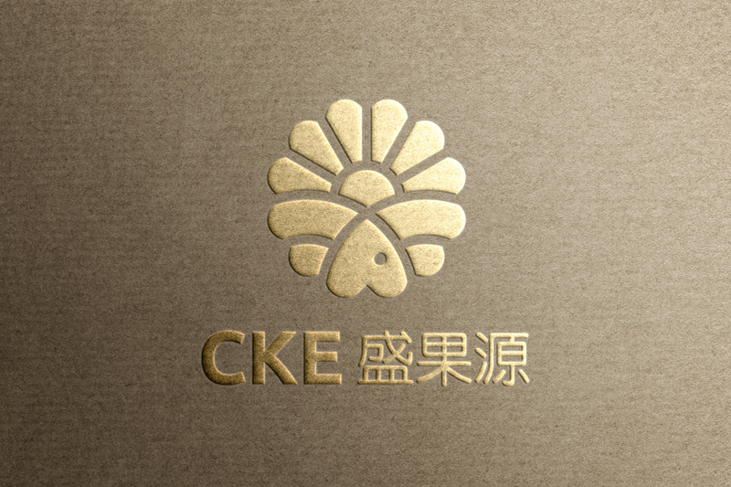 CKE International Trade Solution Logo Design • dcore
