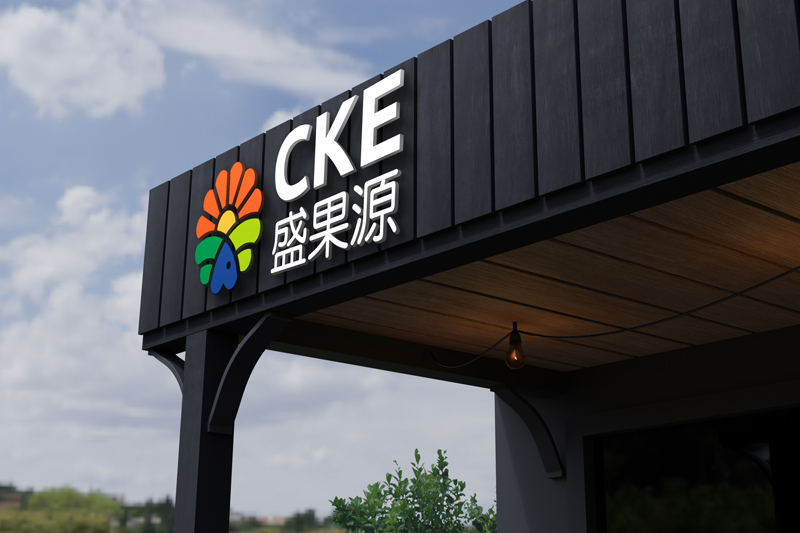 CKE International Trade Solution Logo Design • dcore