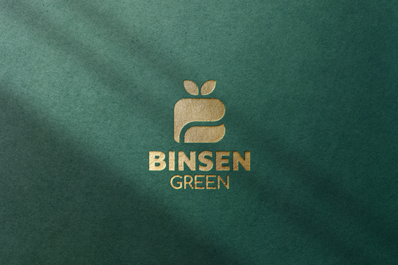 Binsen Green Logo Design • dcore